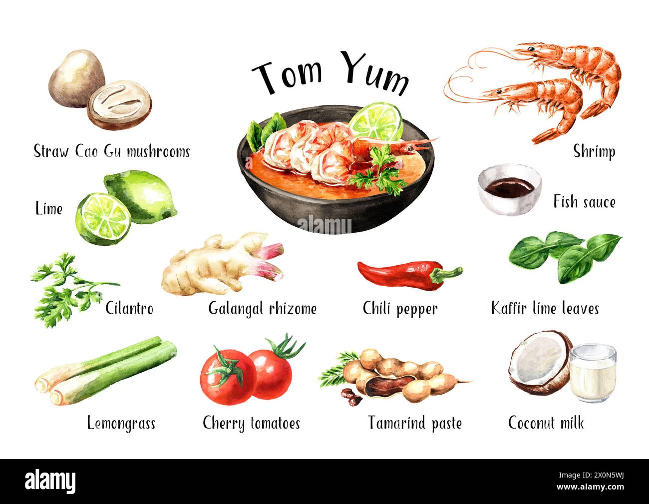 Asian Tom Yum soup recipe ingredients set. Hand drawn watercolor ...