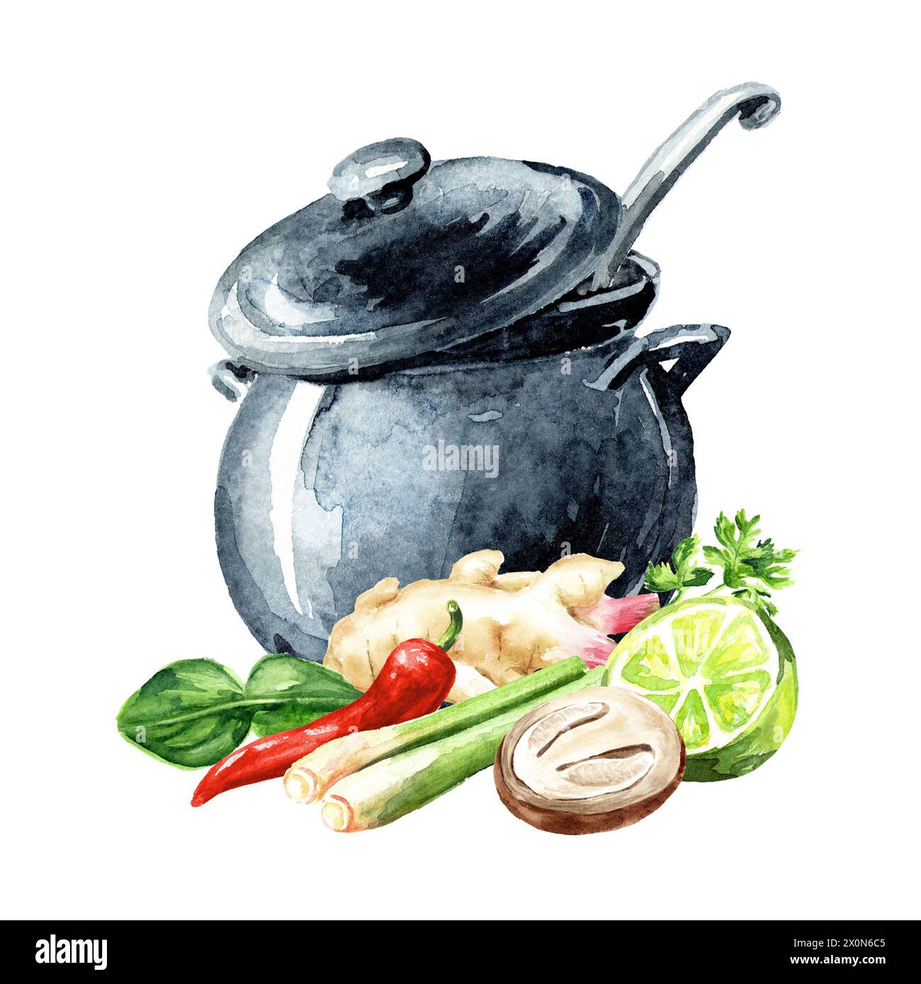 Pan of Asian soup Tom Yum and cooking ingredients. Hand drawn ...
