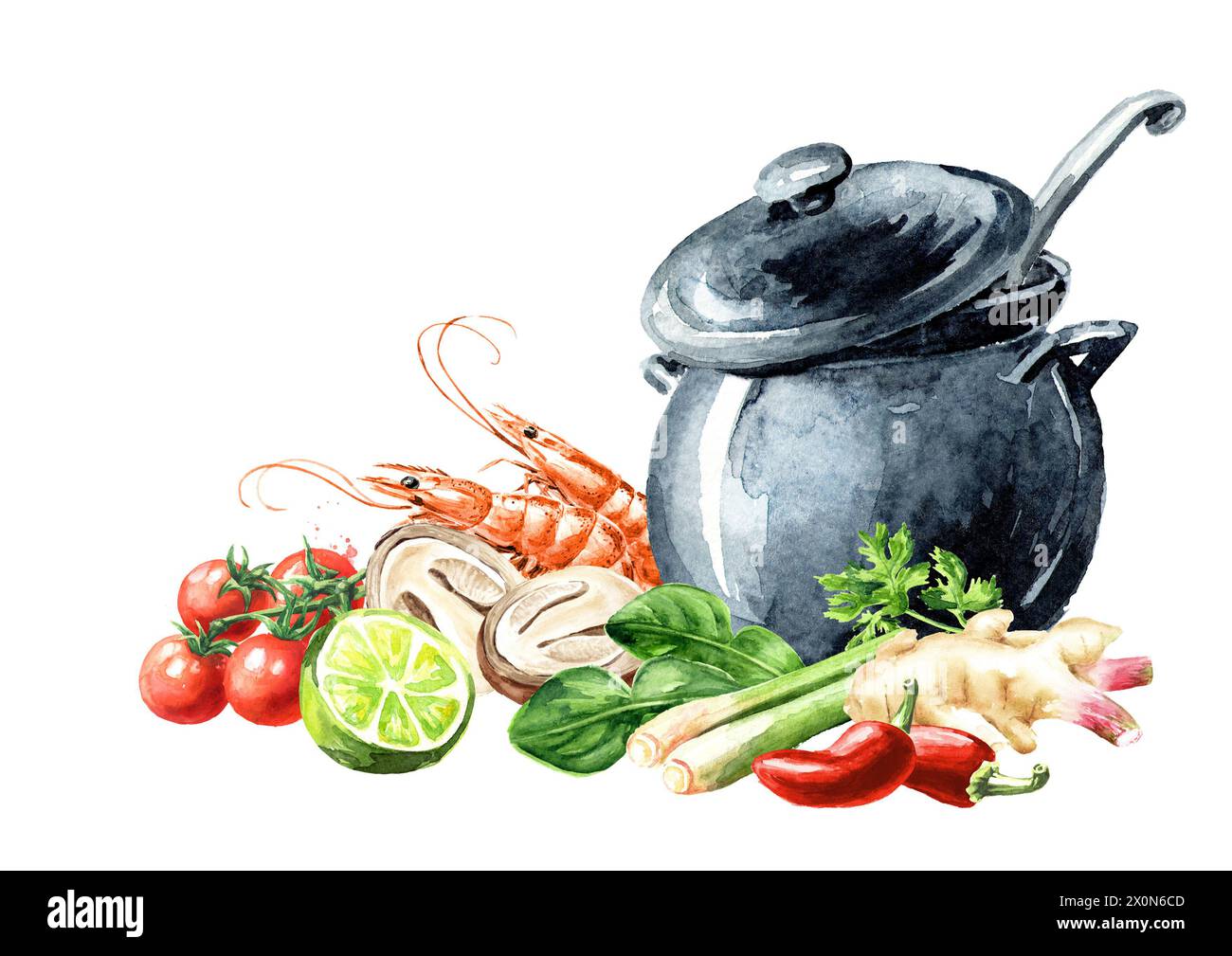Pan of Asian soup Tom Yum and cooking ingredients. Hand drawn ...