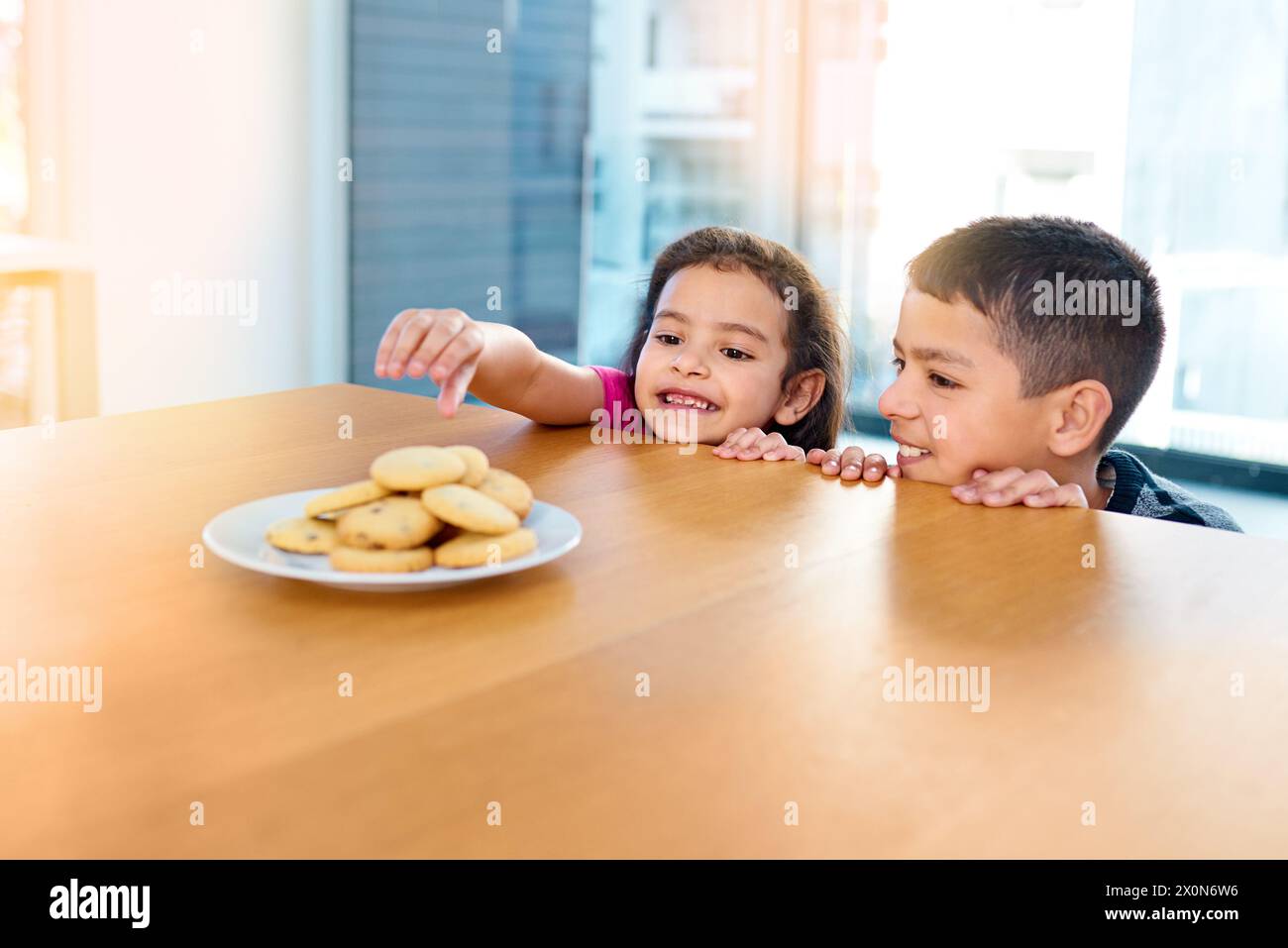 Steal, girl and boy in kitchen, cookies and siblings together, brother ...