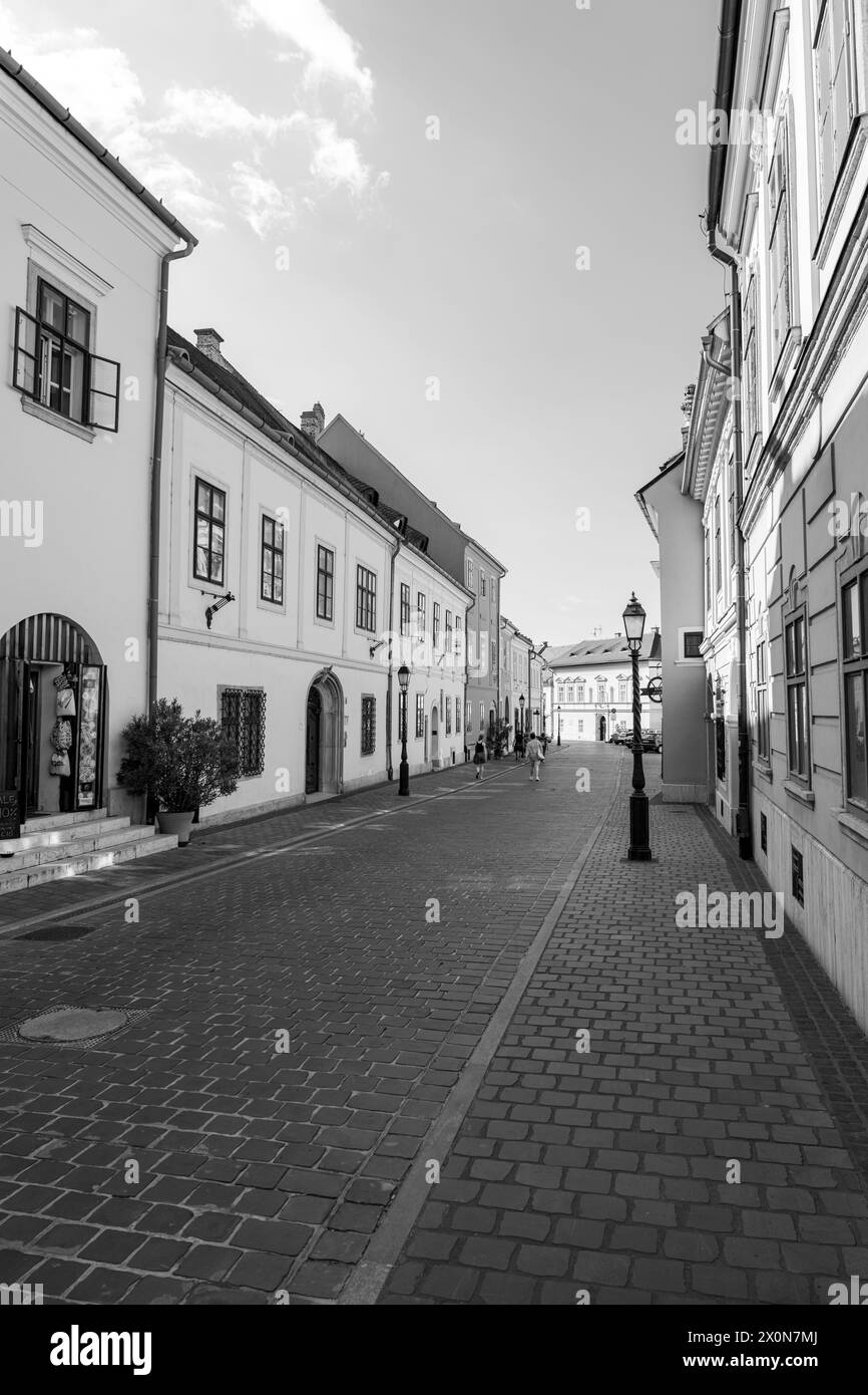 Classic window frames Black and White Stock Photos & Images - Alamy