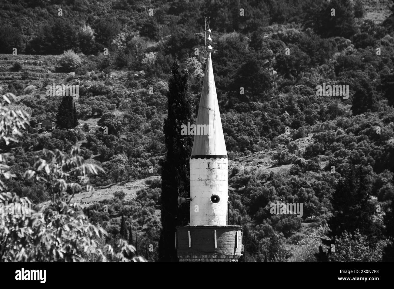 Mosque in the jungle Stock Photo - Alamy