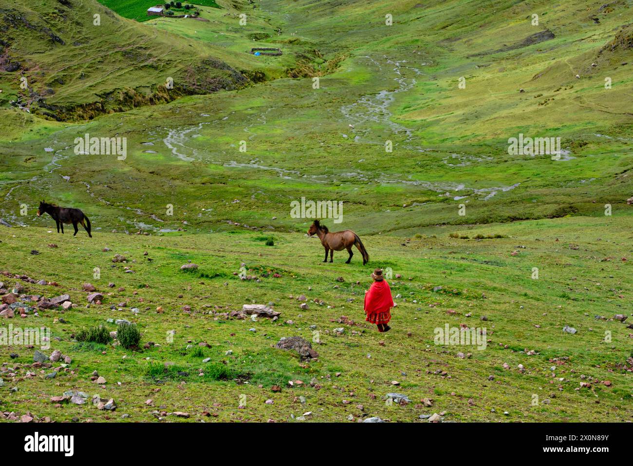 Peru, province of Cuzco, the Sacred Valley of the Incas, Andean ...