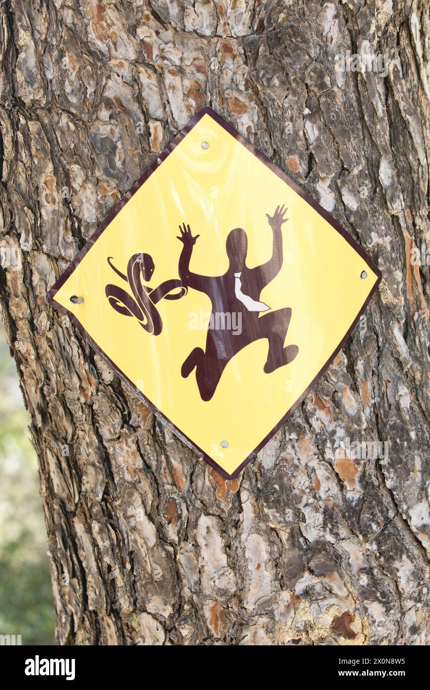 A yellow snake warning sign on a pine tree trunk on the island of Ibiza ...