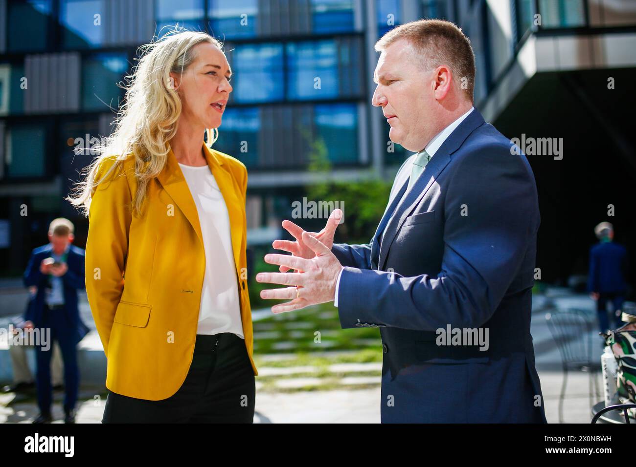 Dee Ryan, who was selected as Fianna Fail candidate for Limerick's ...
