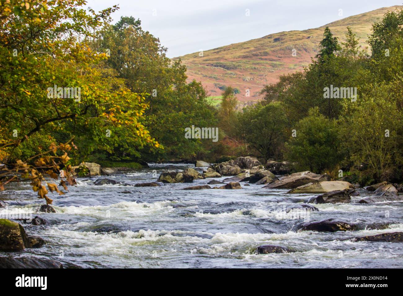 View over the fast-flowing Aflon Glaslyn (River Glaslyn), in Eryri ...