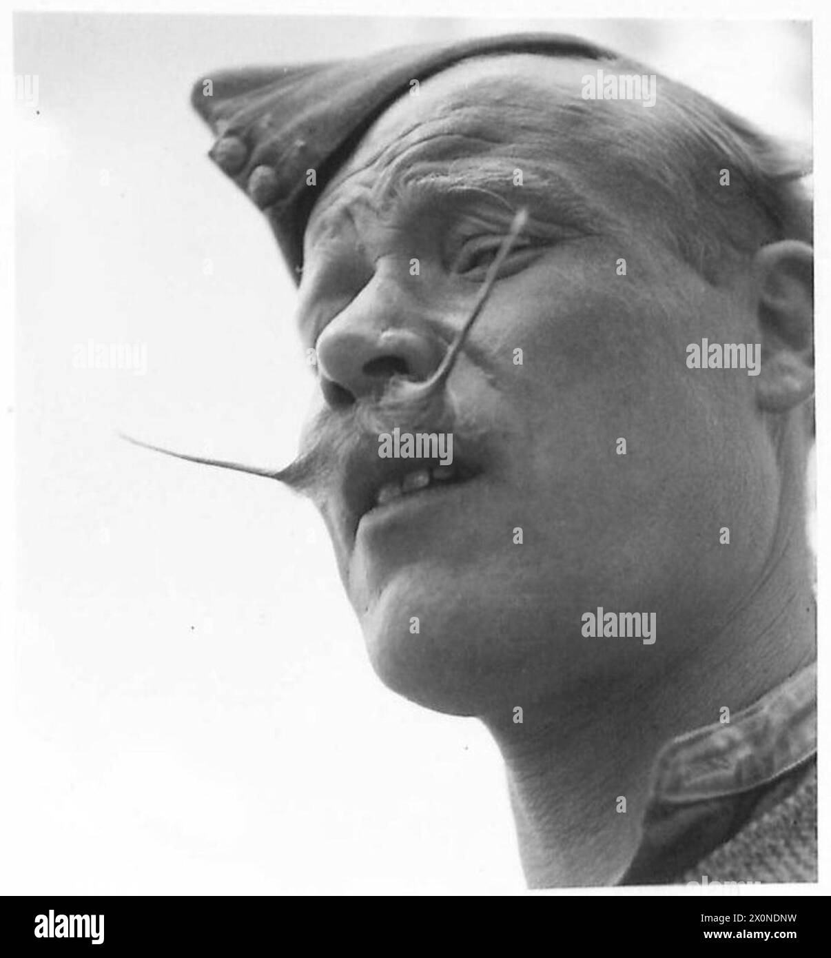 WITH THE EIGHTH ARMY - Dvr. James Allen, MM of Islington, London, who ...