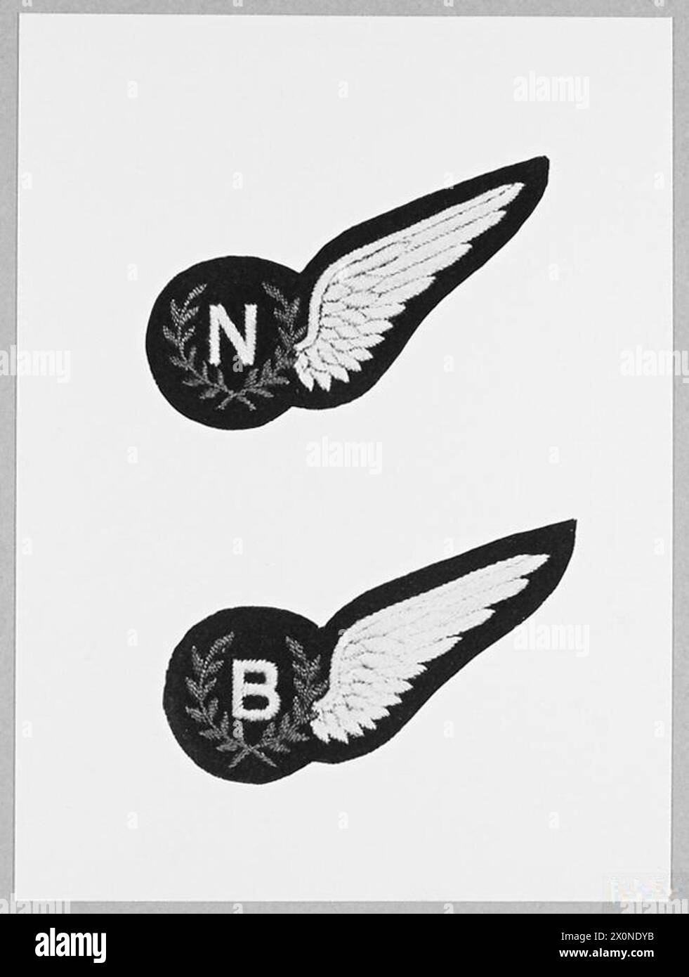NEW BADGES FOR NAVIGATORS AND BOMB AIMERS OF THE R.A.F. - The new ...