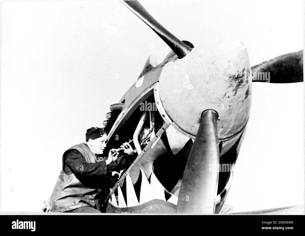 THE ROYAL AIR FORCE IN BRITAIN 1940-1945 - The nose of a TOMAHAWK ...