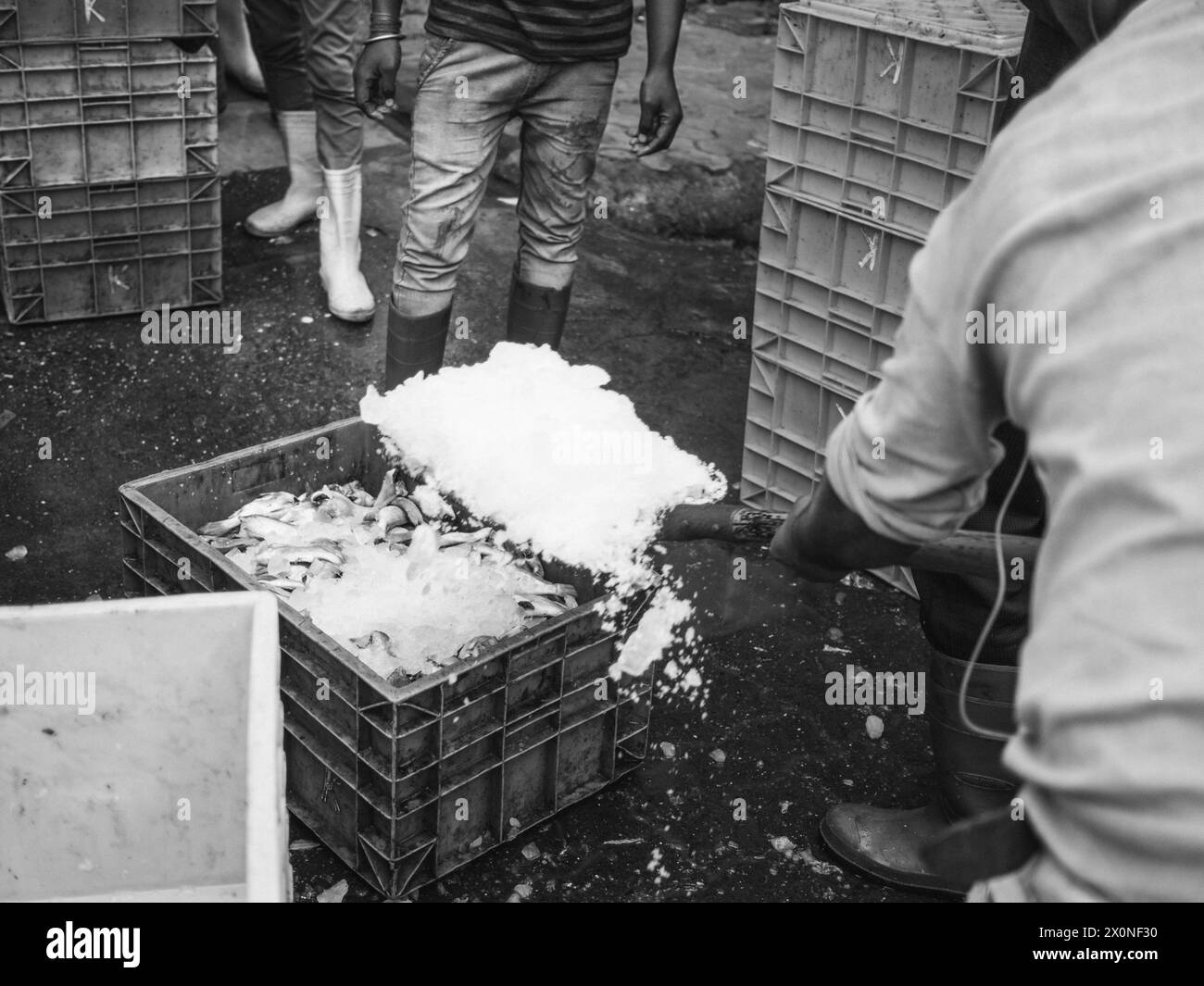 Sustainable market Black and White Stock Photos & Images - Alamy