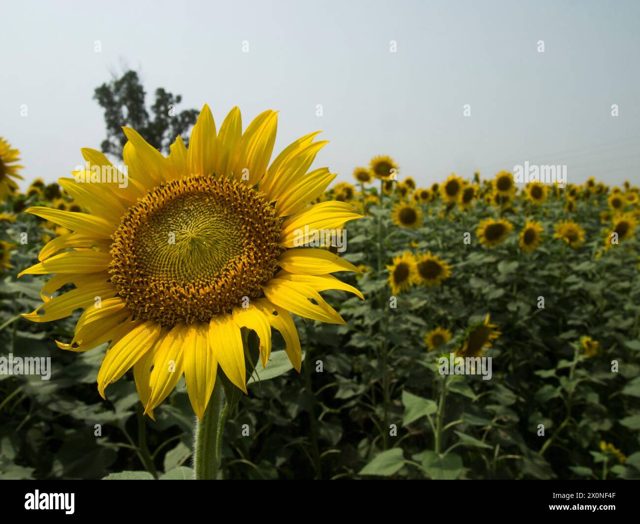Natural wonders reflect hi-res stock photography and images - Alamy