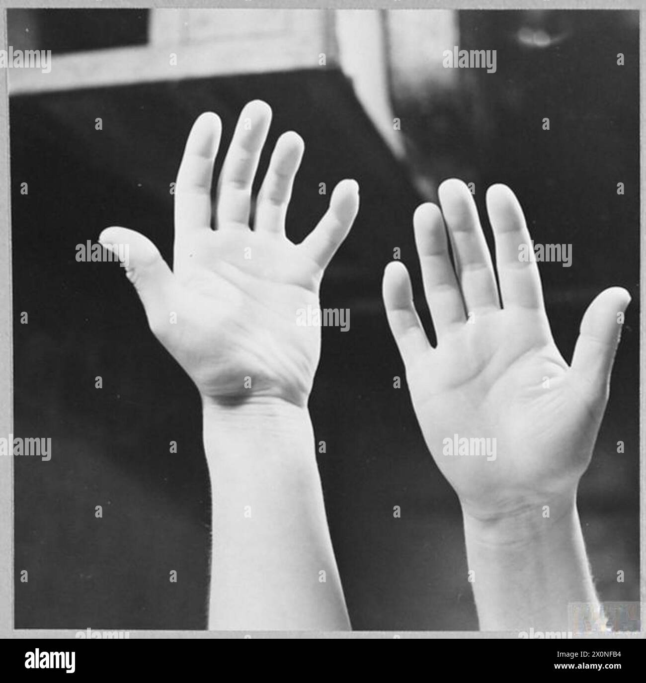 "AIRCRAFT HAND, GENERAL DUTIES" - W.A.A.Fs WHOSEE TO SMOOTH RUNNING OF ...