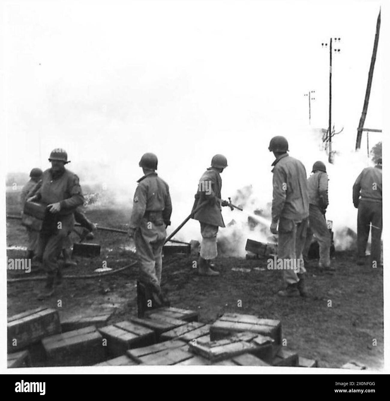 Pictures shells Black and White Stock Photos & Images - Alamy