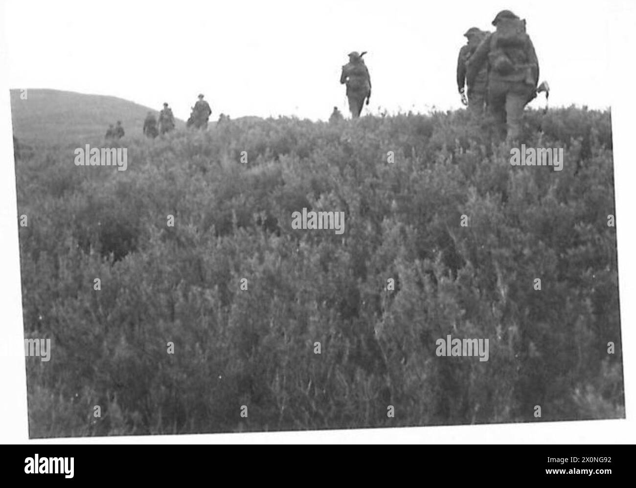 THE BRITISH ARMY IN THE TUNISIA CAMPAIGN, NOVEMBER 1942-MAY 1943 - Men ...