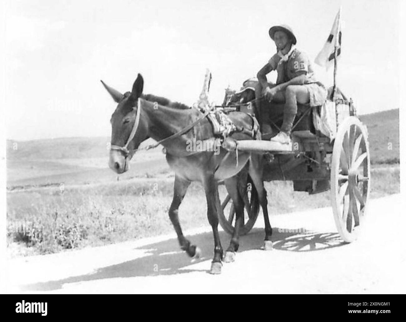 INVASION OF SICILY - Bandsman A. Frampton of the who comes from the ...