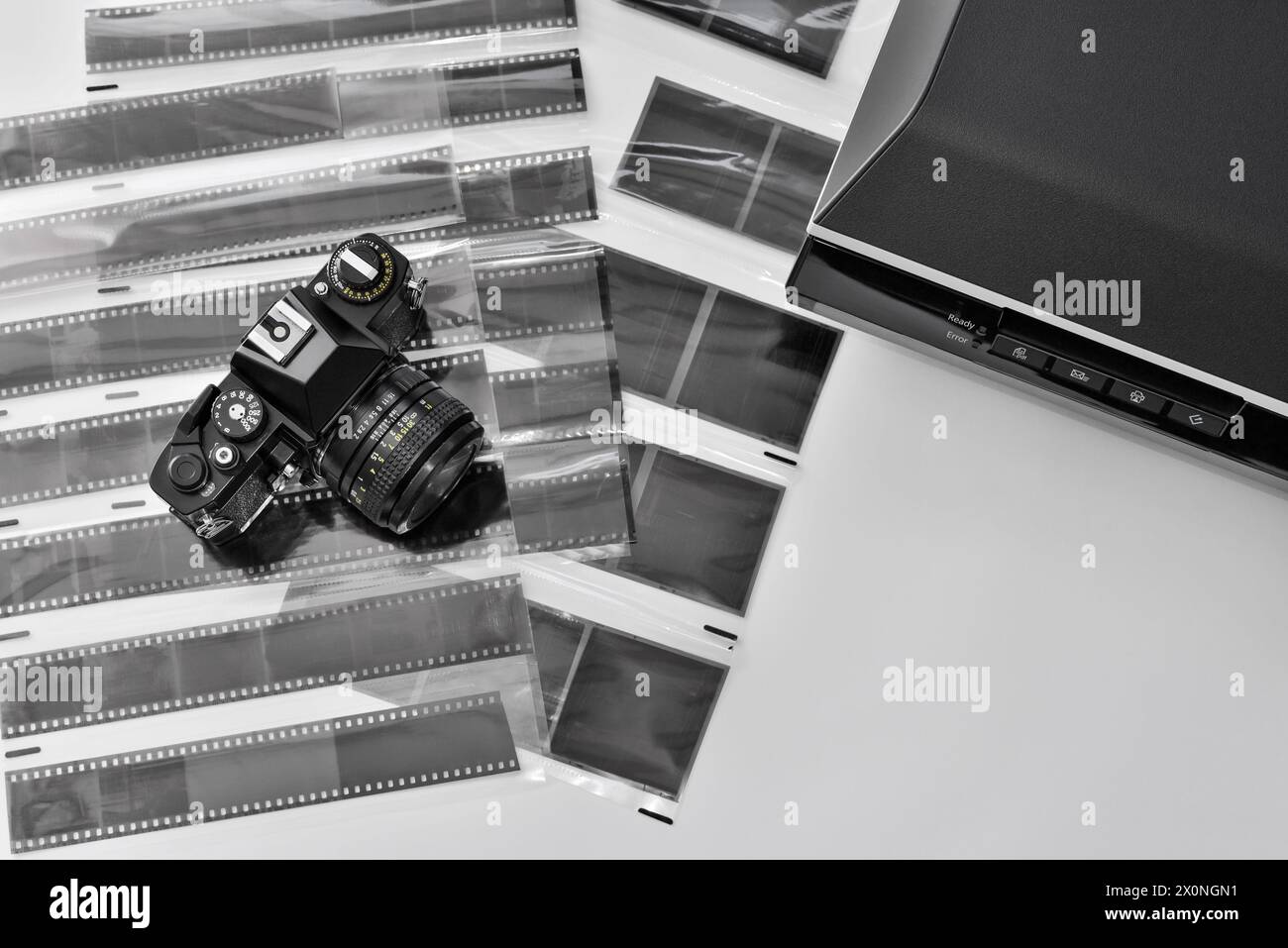 Film photography and scanning photo negatives using a scanner. Film ...