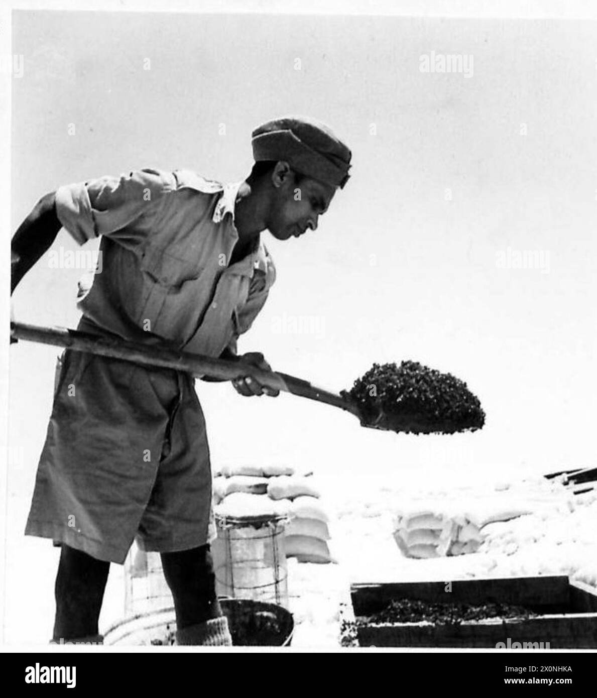 Pest observation Black and White Stock Photos & Images - Alamy