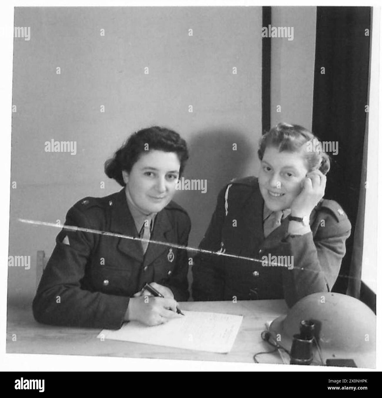 Tizzard hi-res stock photography and images - Alamy