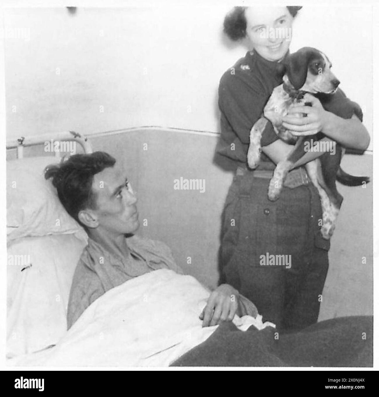 ITALY : EIGHTH ARMYFRONT LINE NURSE - "Plasma" is the pet of the Blood ...