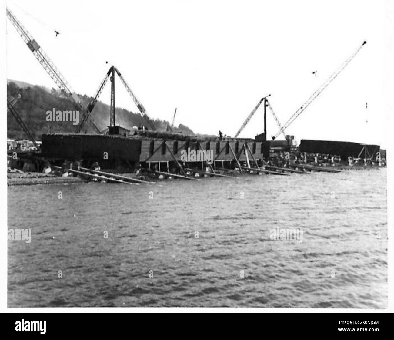 SPECIAL ASSIGNMENT FOR TN.5THE CONSTRUCTION OF A WHALE - Photographs ...