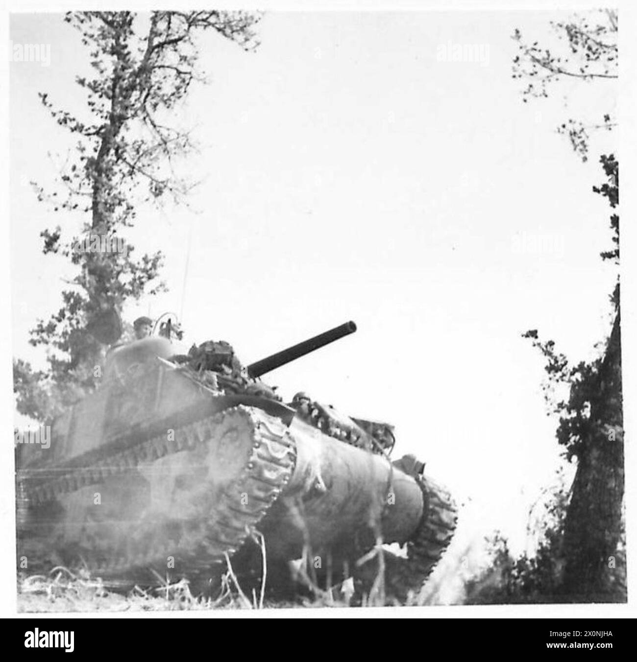 British Army tanks advance through difficult and wooded terrain in ...