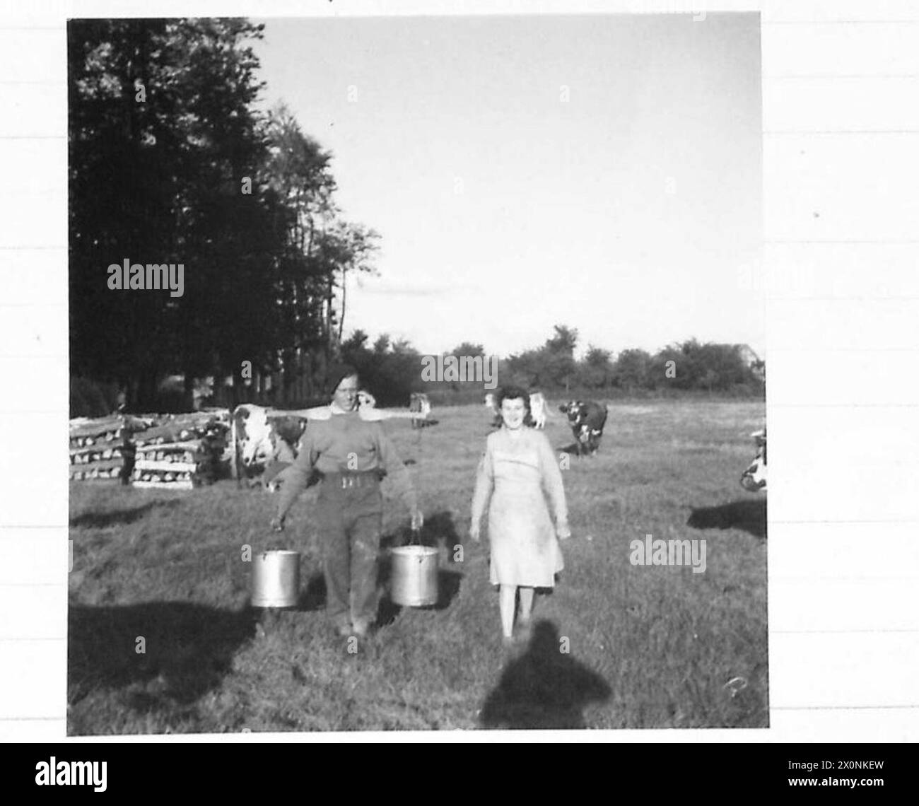 A BRITTANY FARM CARRIES ON - Pte. D.Evans [of Ossett] takes the mil ...