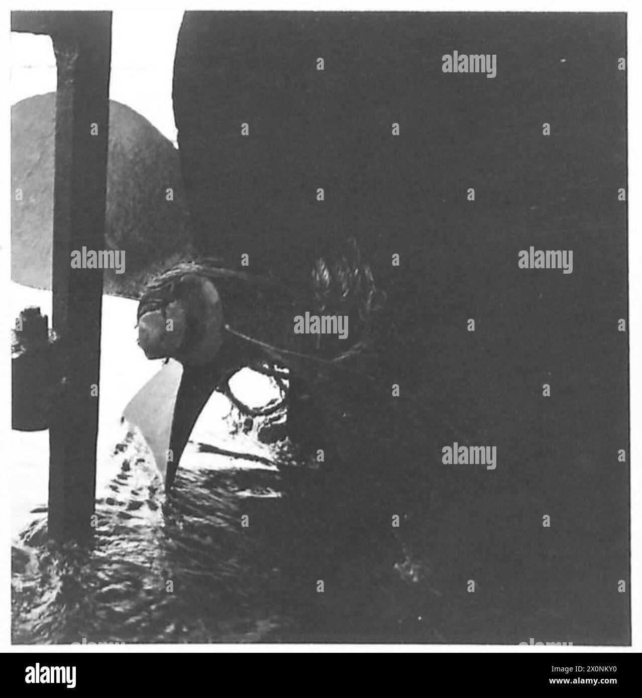 Photographs document the propeller screw of the vessel 'Ebro' entangled ...