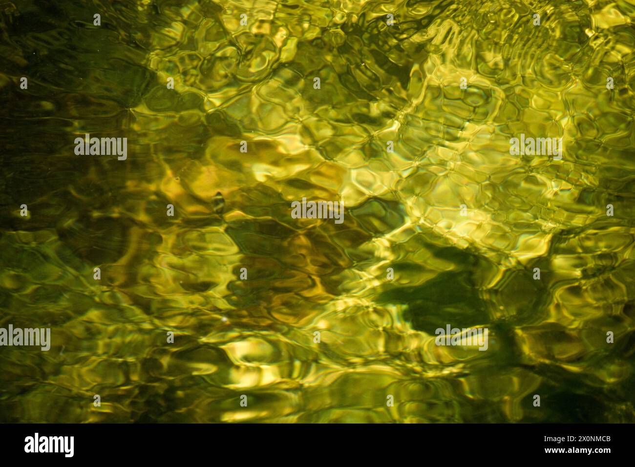 Fluidity of shapes hi-res stock photography and images - Alamy