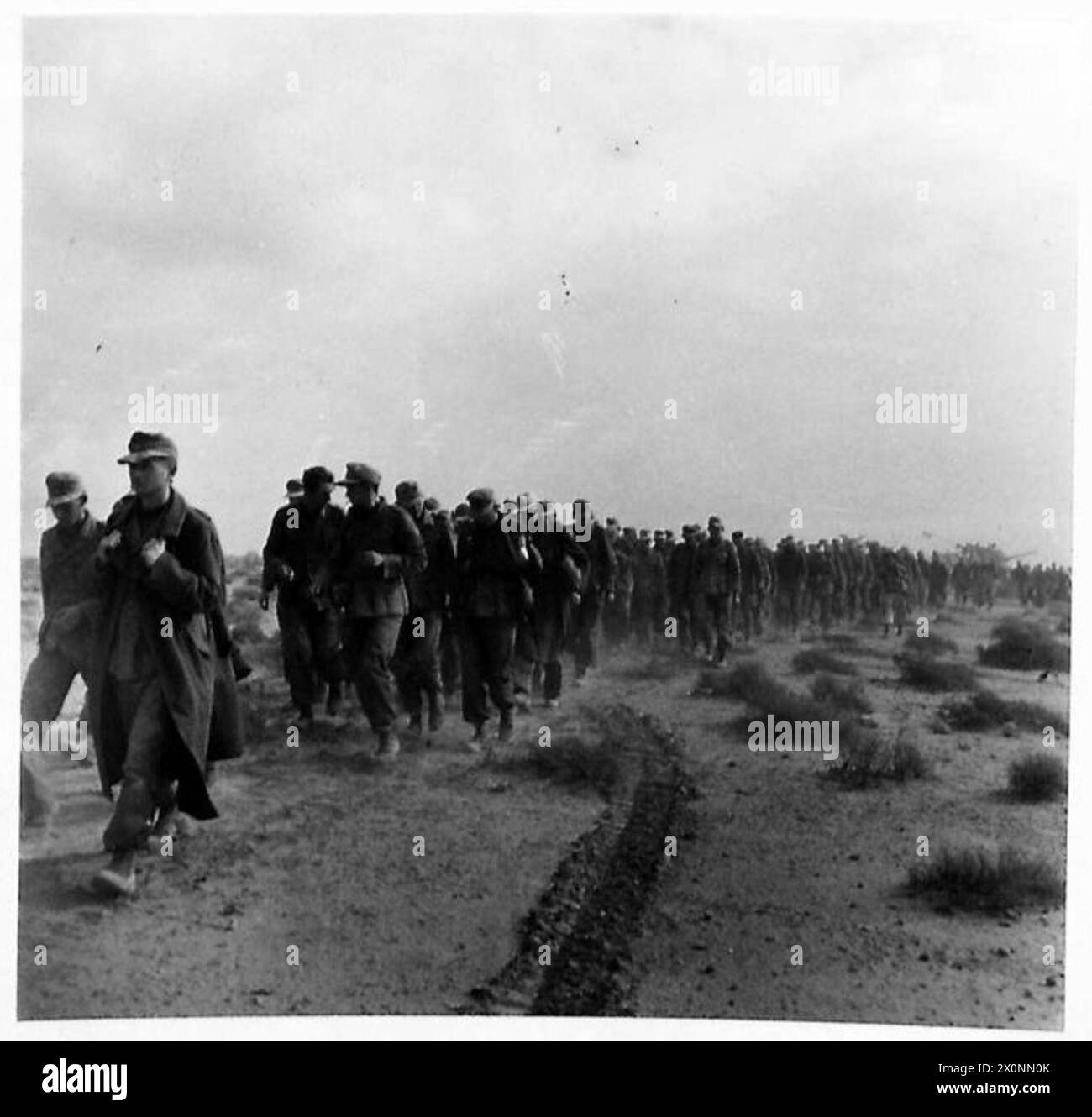 Photograph showing prisoners captured by Tobruk Garrison troops being ...