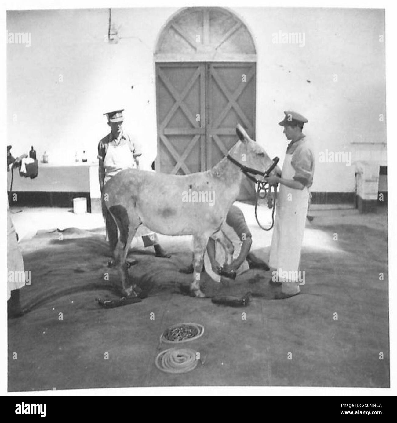 Operating table preparation Black and White Stock Photos & Images - Alamy