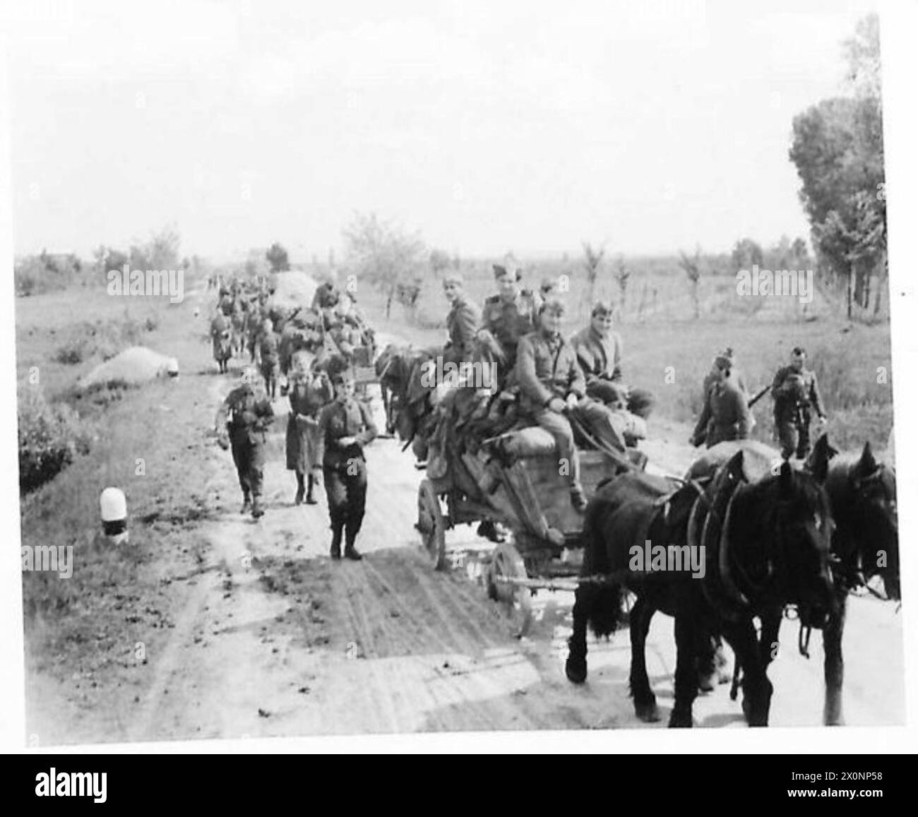 CHETNIKS SURRENDER - Chetnik transport, mostly horse-drawn, on the move ...