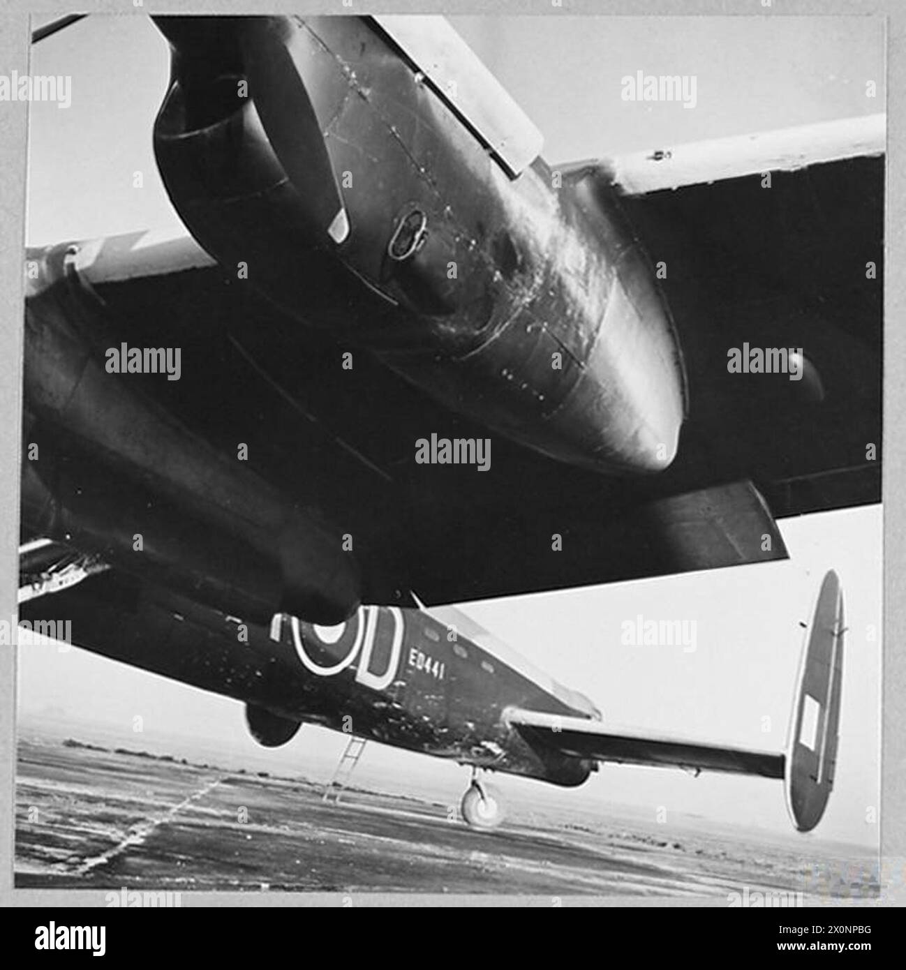 Rudder fin hi-res stock photography and images - Alamy