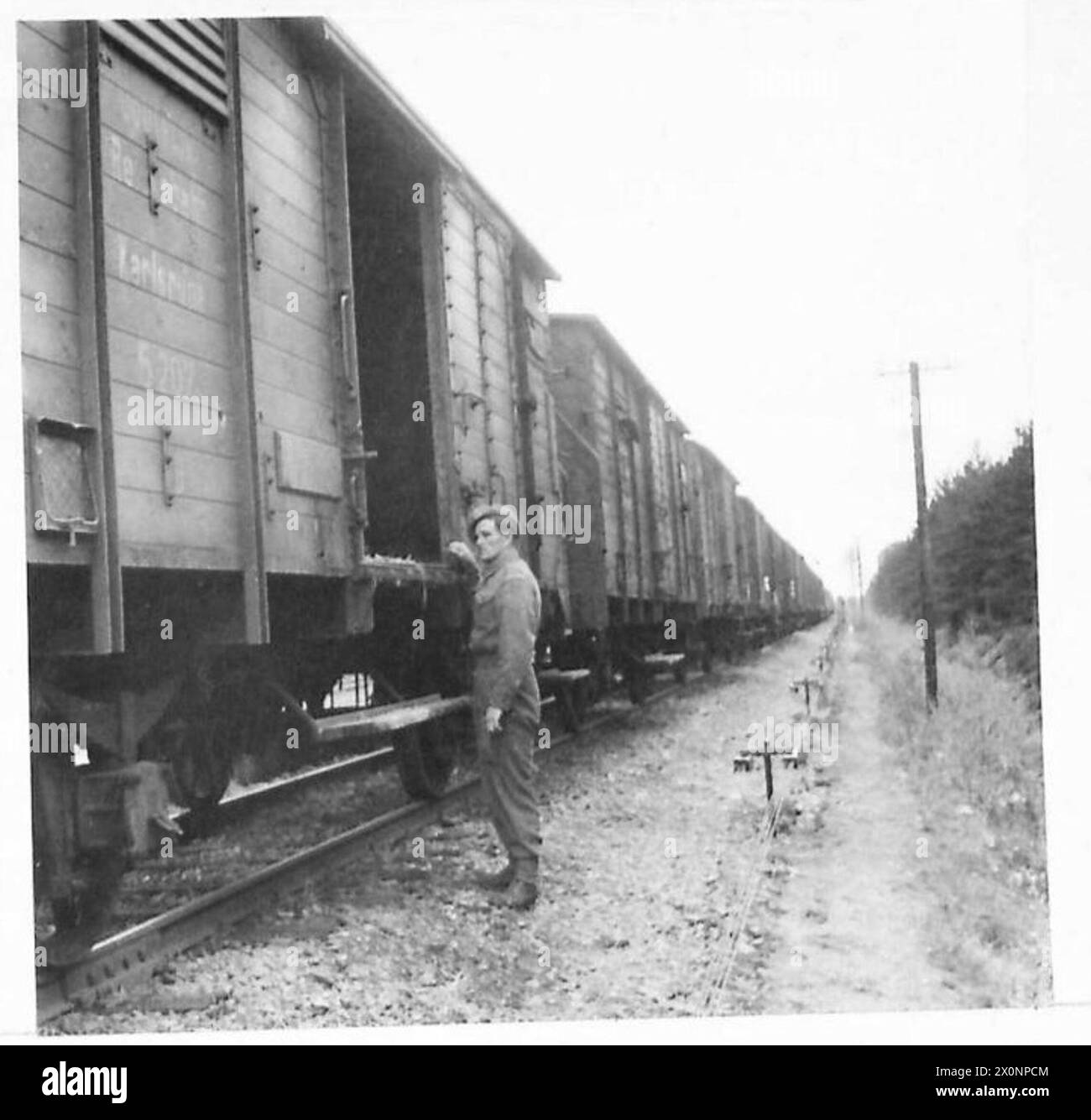 Cattle train Cut Out Stock Images & Pictures - Alamy