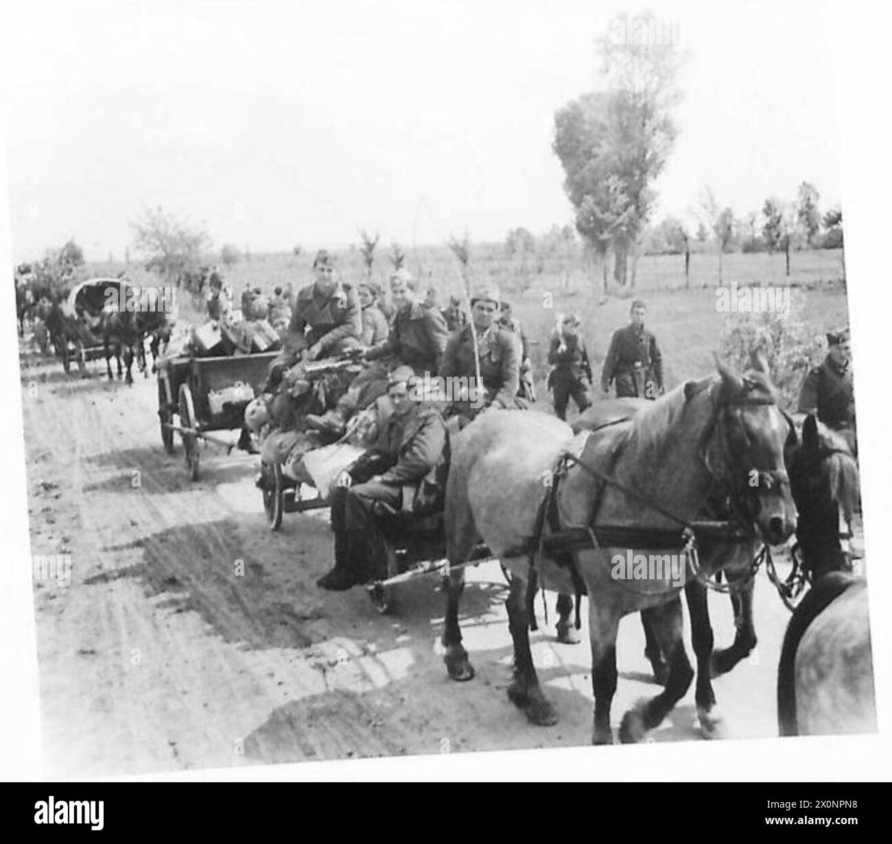 CHETNIKS SURRENDER - Chetnik transport, mostly horse-drawn, on the move ...