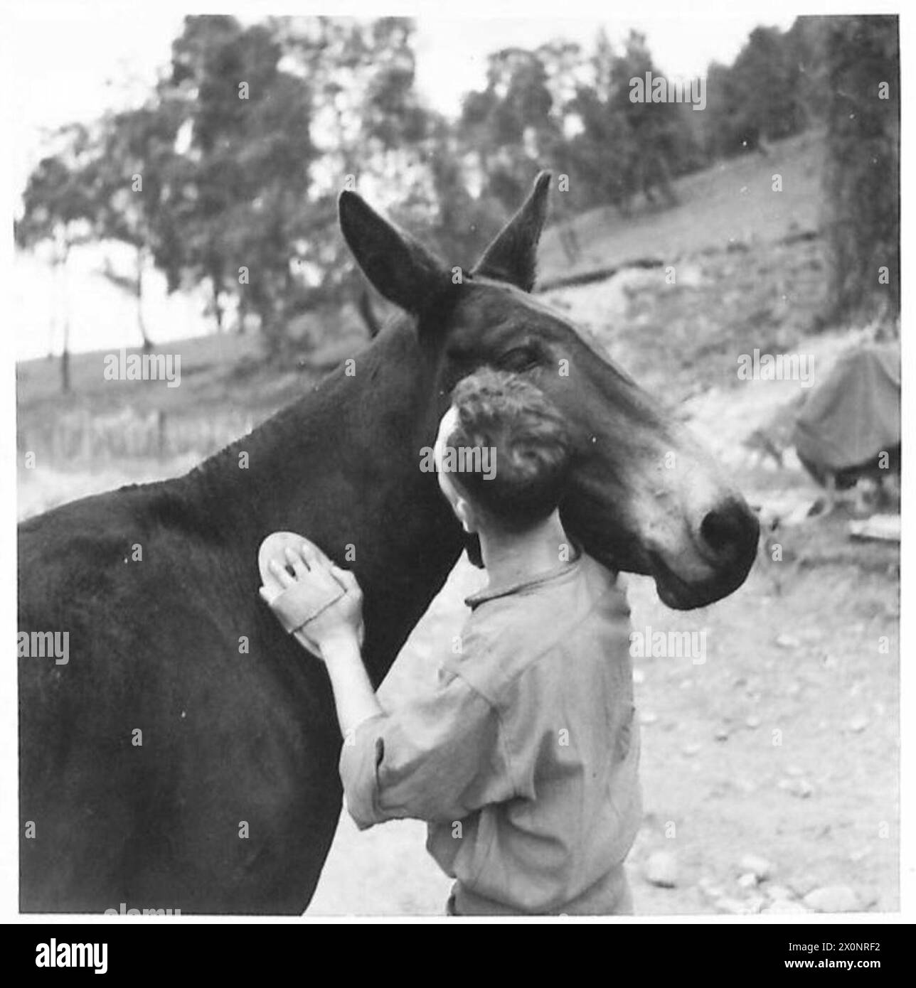 Military personnel care Cut Out Stock Images & Pictures - Alamy