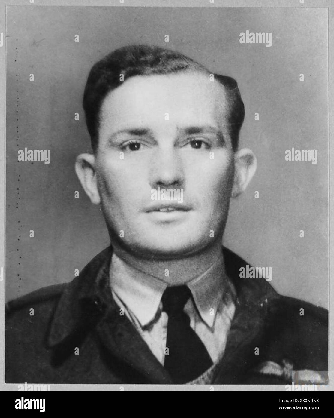 Acting Squadron Leader Anthony Maurice Palmer, DFC & Bar, RAFVR No.100 ...