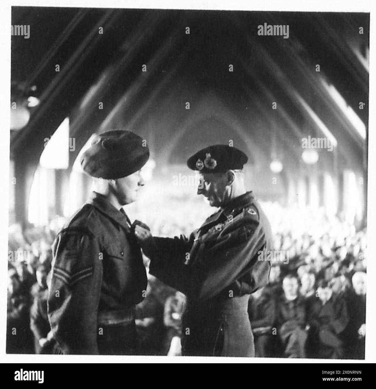 Leadbeater Black and White Stock Photos & Images - Alamy
