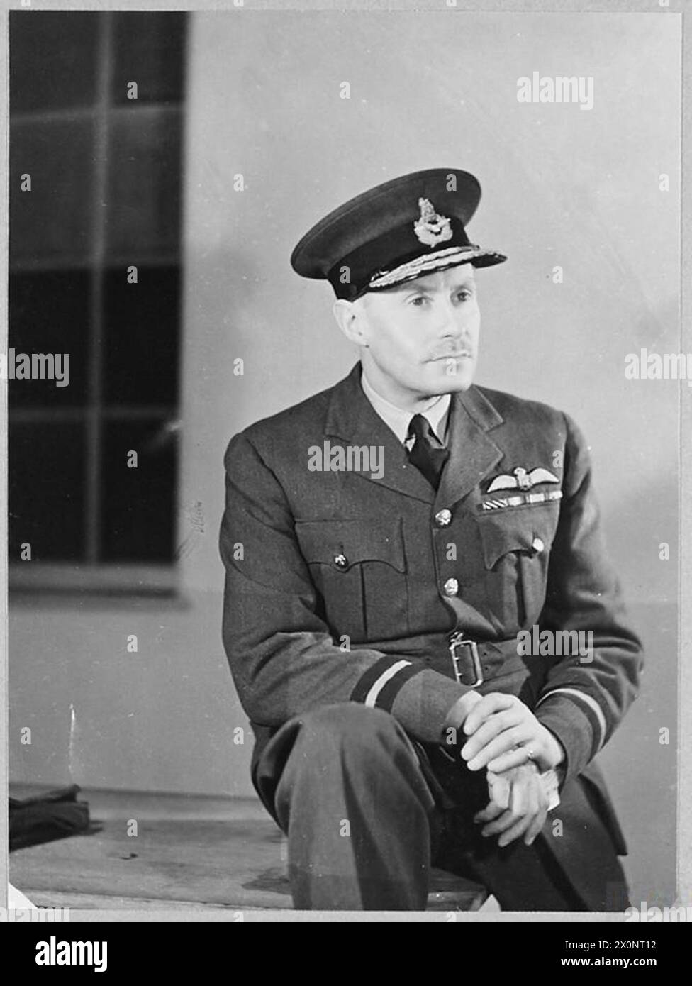 AIR COMMODORE S.E. TOOMER, D.F.C. - A new portrait of Air Commodore S.E ...