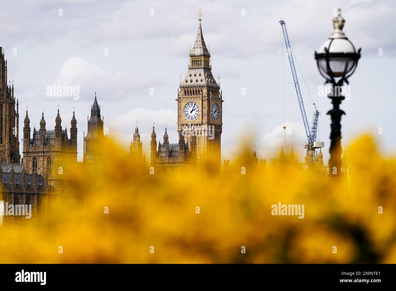 Big Ben, Elizabeth Tower Stock Photo - Alamy