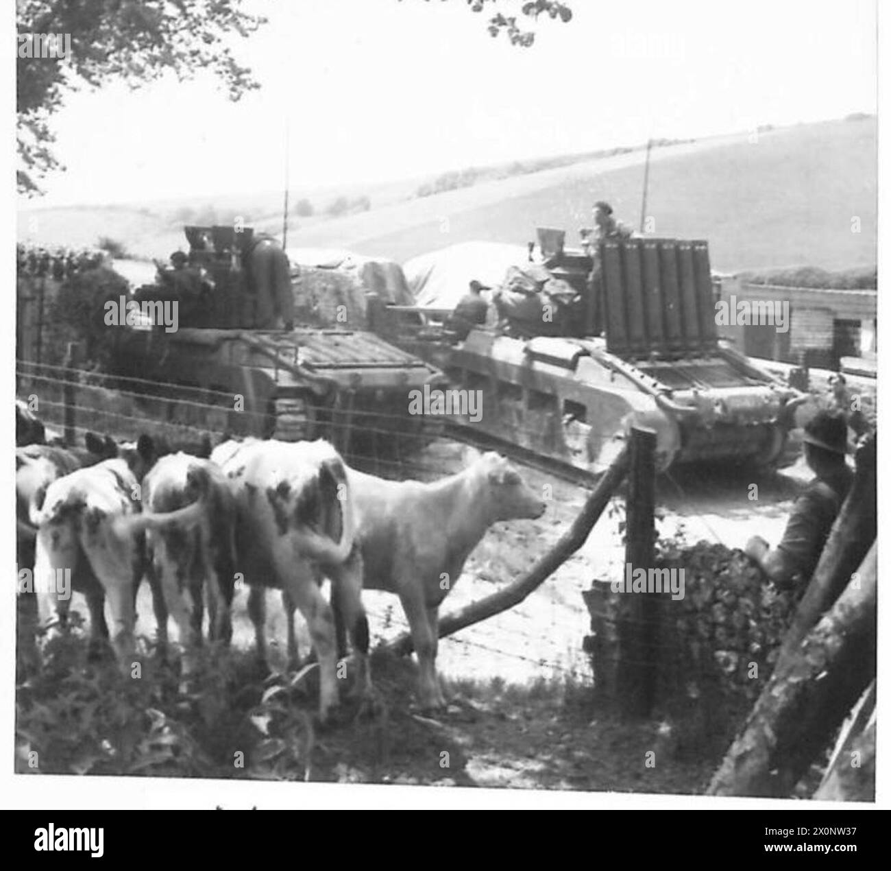 Tanks representing enemy forces are parked in a farmyard during a mock ...