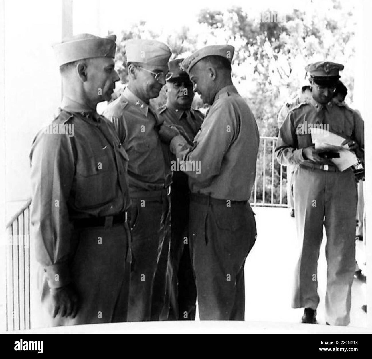 H leaf Black and White Stock Photos & Images - Alamy