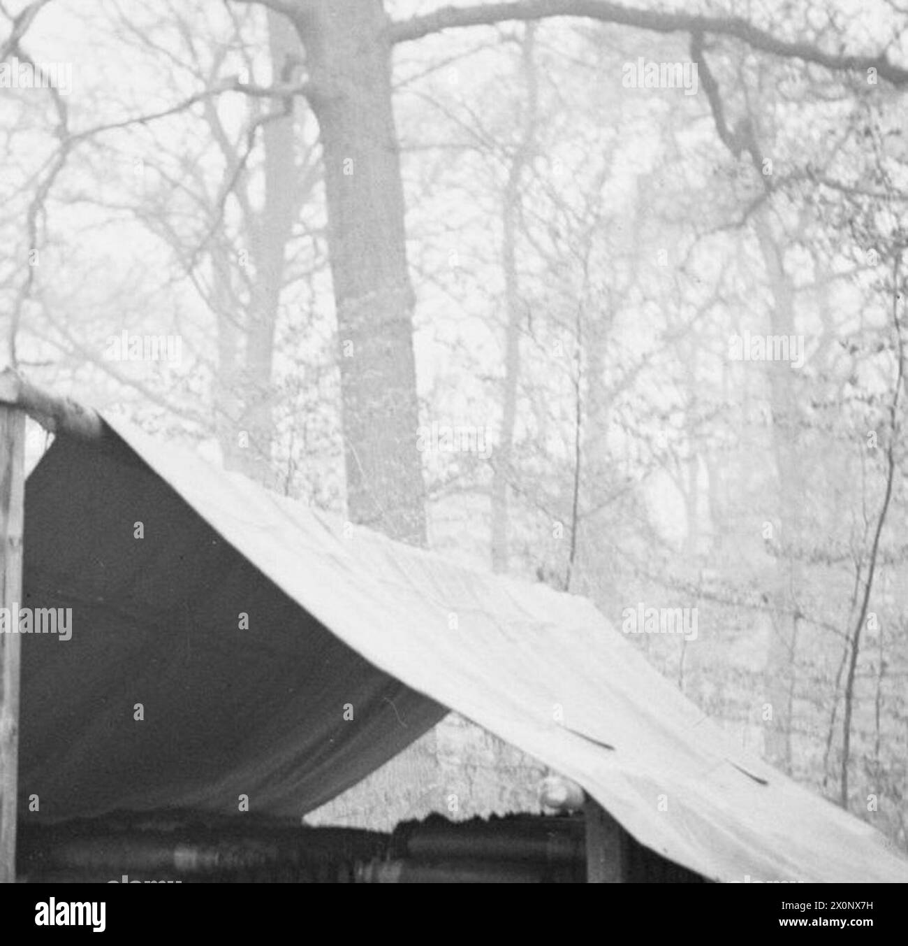 CHEMICAL WARFARE IN THE TWENTIETH CENTURY: THE SECOND WORLD WAR - A ...