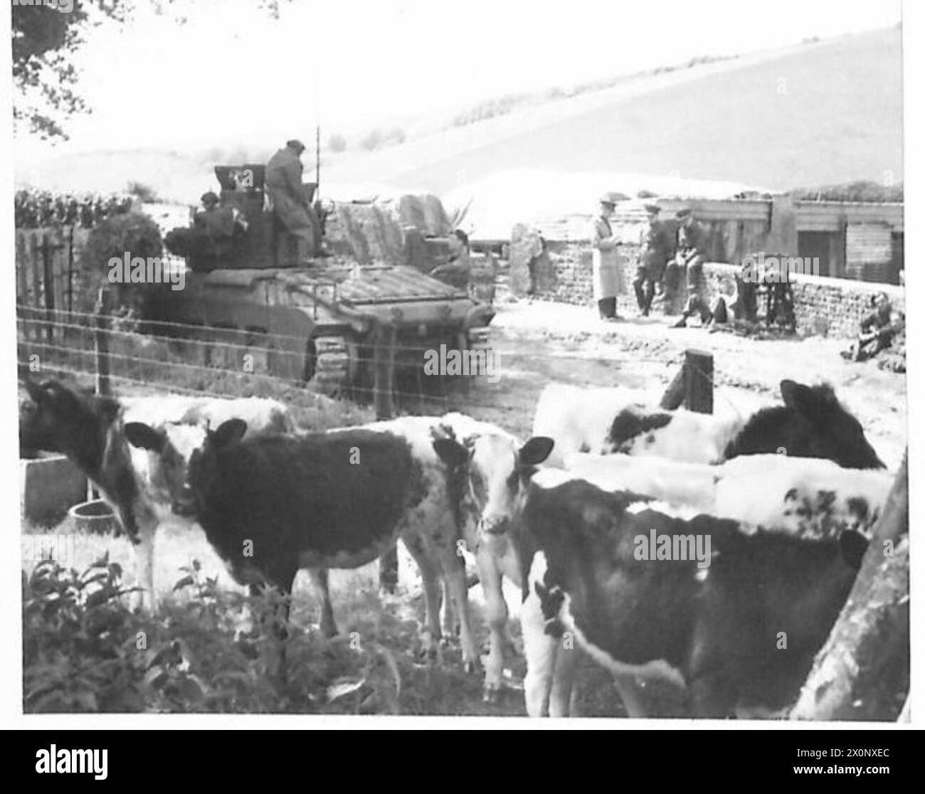 During a mock invasion exercise, 'enemy' tanks rest in a farmyard while ...