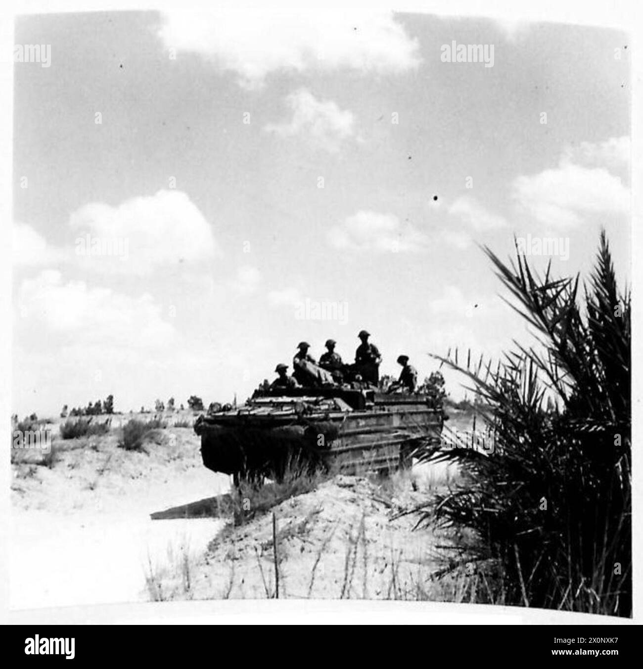 NORTH AFRICA : INVASION EXERCISES - Activities of large amphibious on ...
