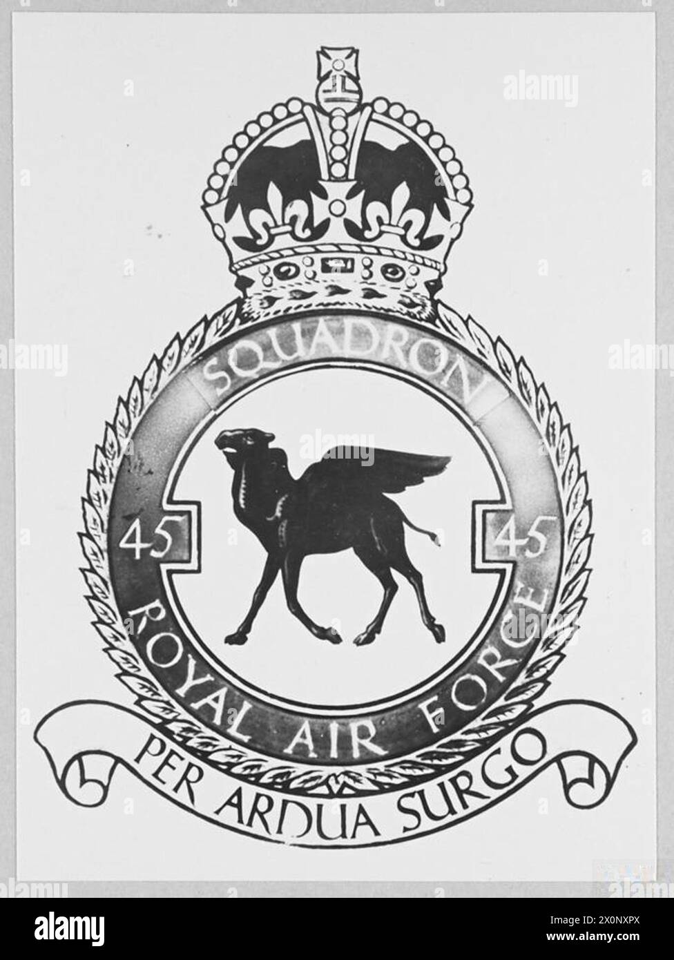 Badge of a Royal Air Force squadron displaying the motto 'Per Ardua ...
