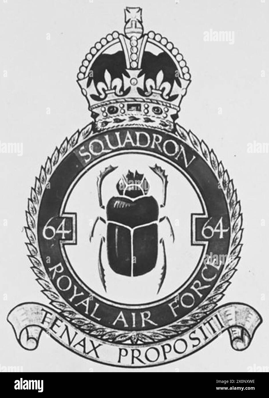 64 squadron raf hi-res stock photography and images - Alamy