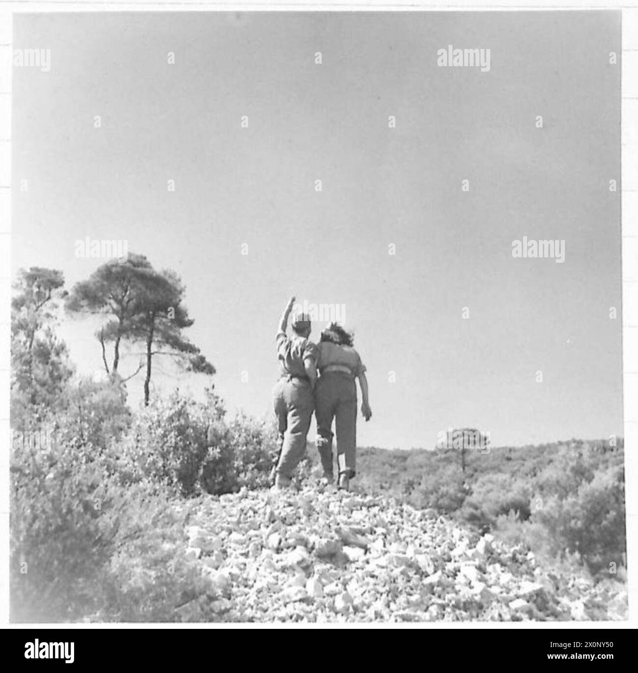 ISLAND OF VIZ and A DAY IN THE LIFE OF A PARTISAN GIRL - Like any other ...