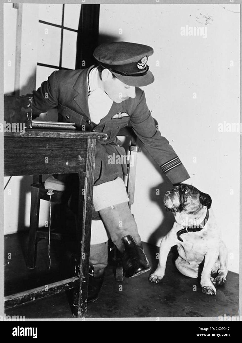 Susie, the bulldog mascot of an RAF Fighter Squadron, visits the ...