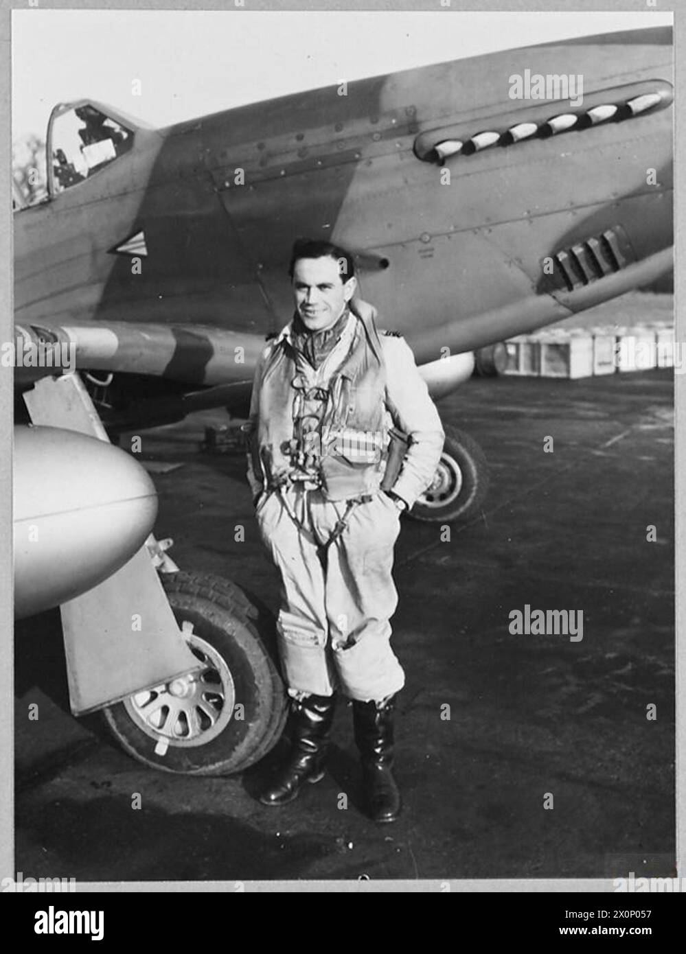 WING COMMANDER BIRD-WILSON DSO.,DFC & BAR. - Picture (issued 1945 ...