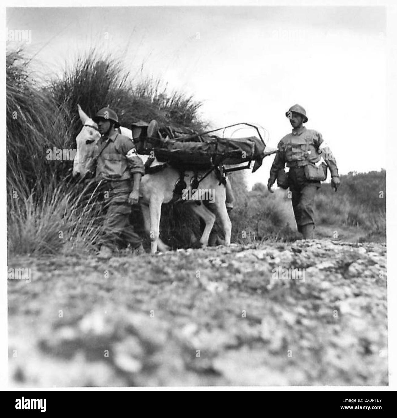 Soldiers on mules hi-res stock photography and images - Alamy